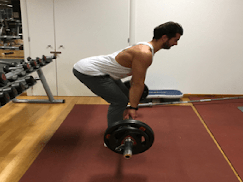 Muscoli lombari: cosa dobbiamo sapere? | La Scienza in palestra