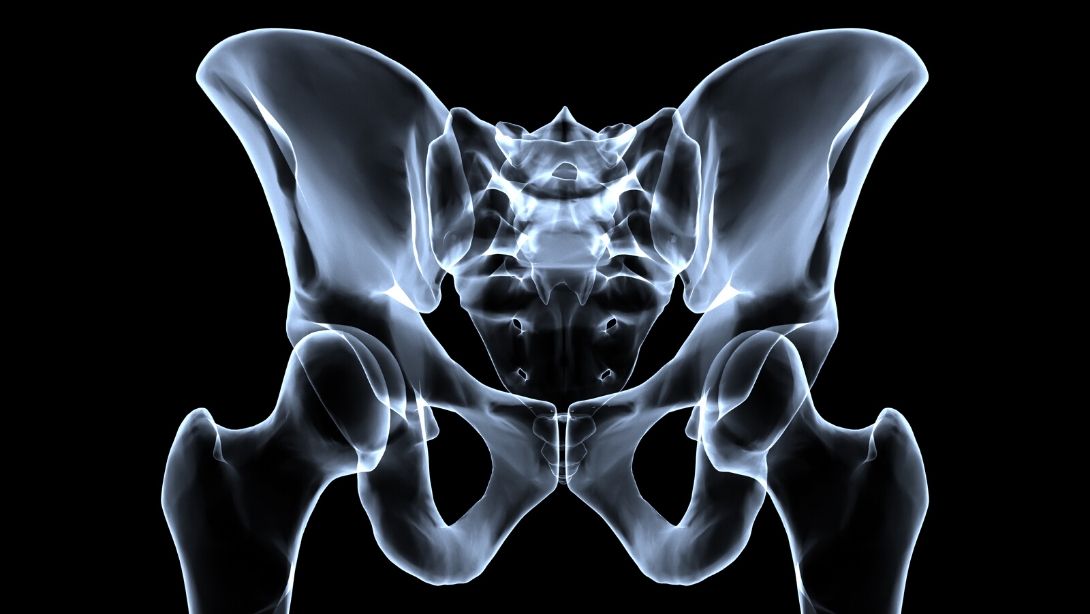 Antiversione e retroversione di bacino: postura, dolore ed estetica ...