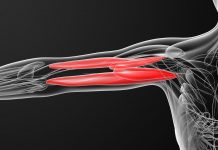 Ipercifosi dorsale: ha senso correggerla? | La Scienza in palestra