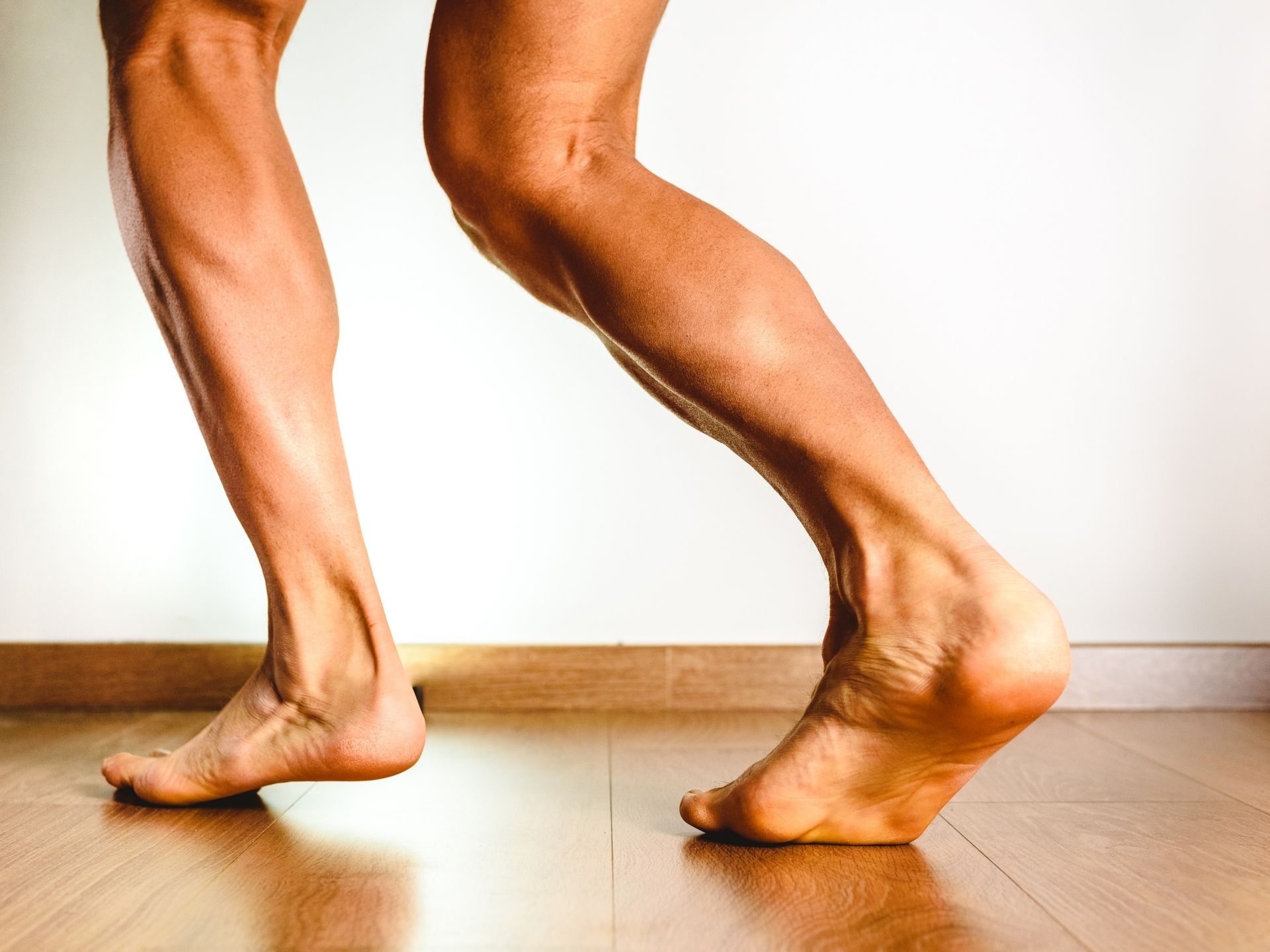 Muscolo soleo: anatomia e biomeccanica | La Scienza in palestra